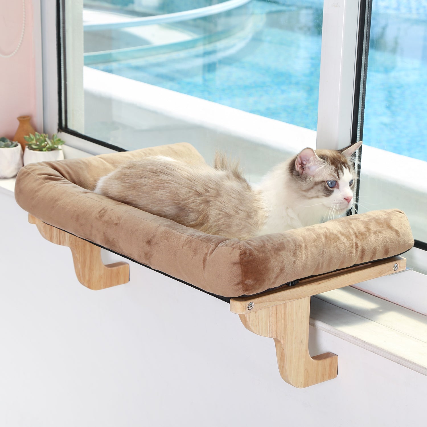 Zakkart Cat Perch for Window Sill with Bolster